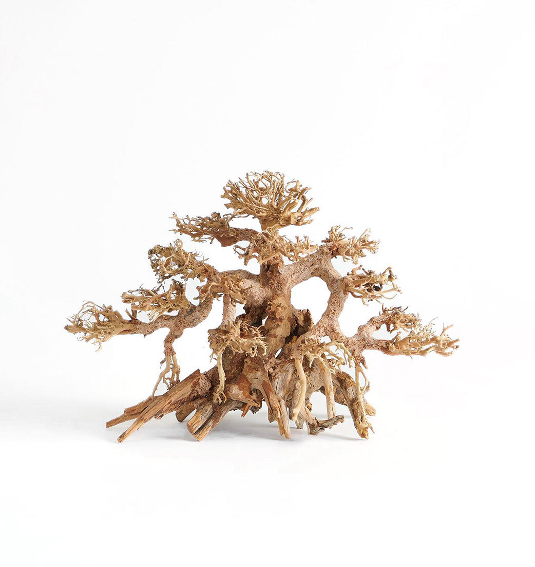 Bonsai Tree Driftwood Medium 30x25cm - Addicted 2 Fish